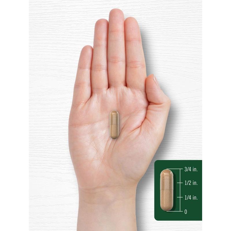 Carlyle Vitex Chasteberry Supplement | 820mg | 150 Capsules | Vitex ...