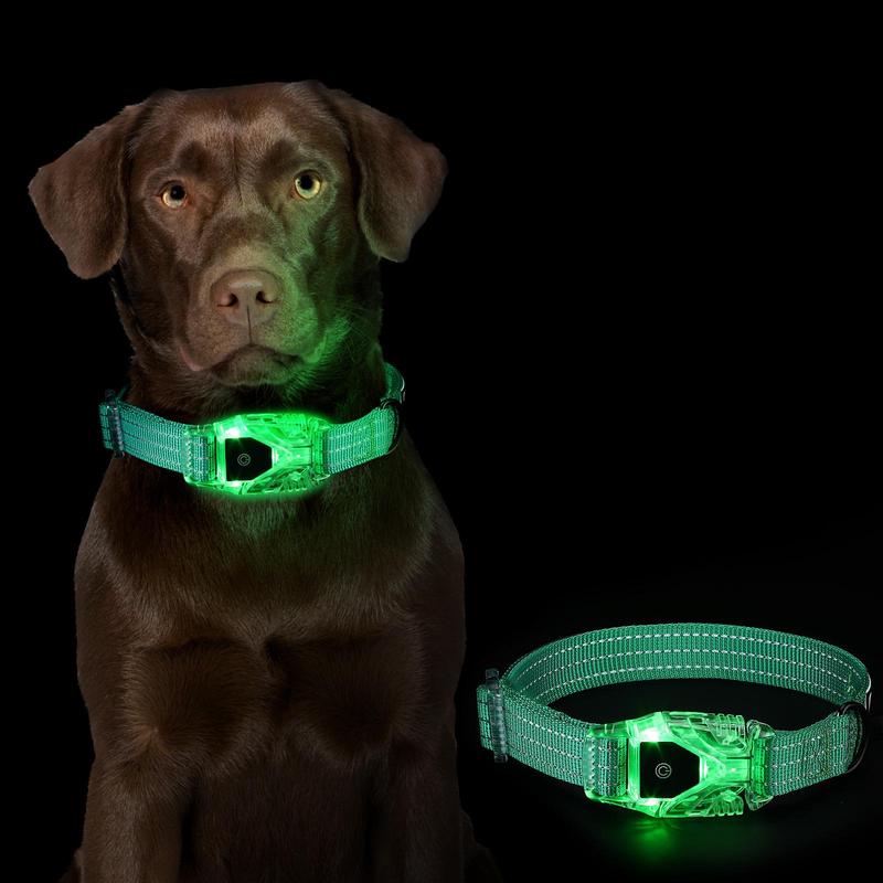 Spring 3 in 1 LED Dog Collar, 1 Count Waterproof Dog Neck Accessories ...
