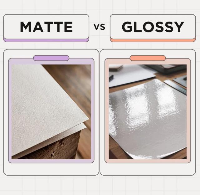 Robert Irwin 2026 Wall Calendar, Celebrity Fan Planner, Animal Lover ...