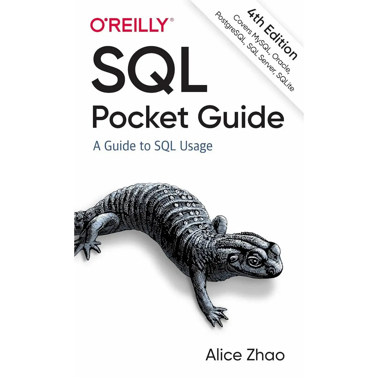 SQL Pocket Guide: A Guide to SQL Usage 4th Edition - TikTok Shop