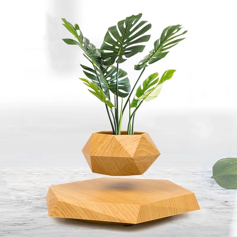 MAGECMOON Magnetic Levitation Plant Levitating Display Floating Bonsai ...