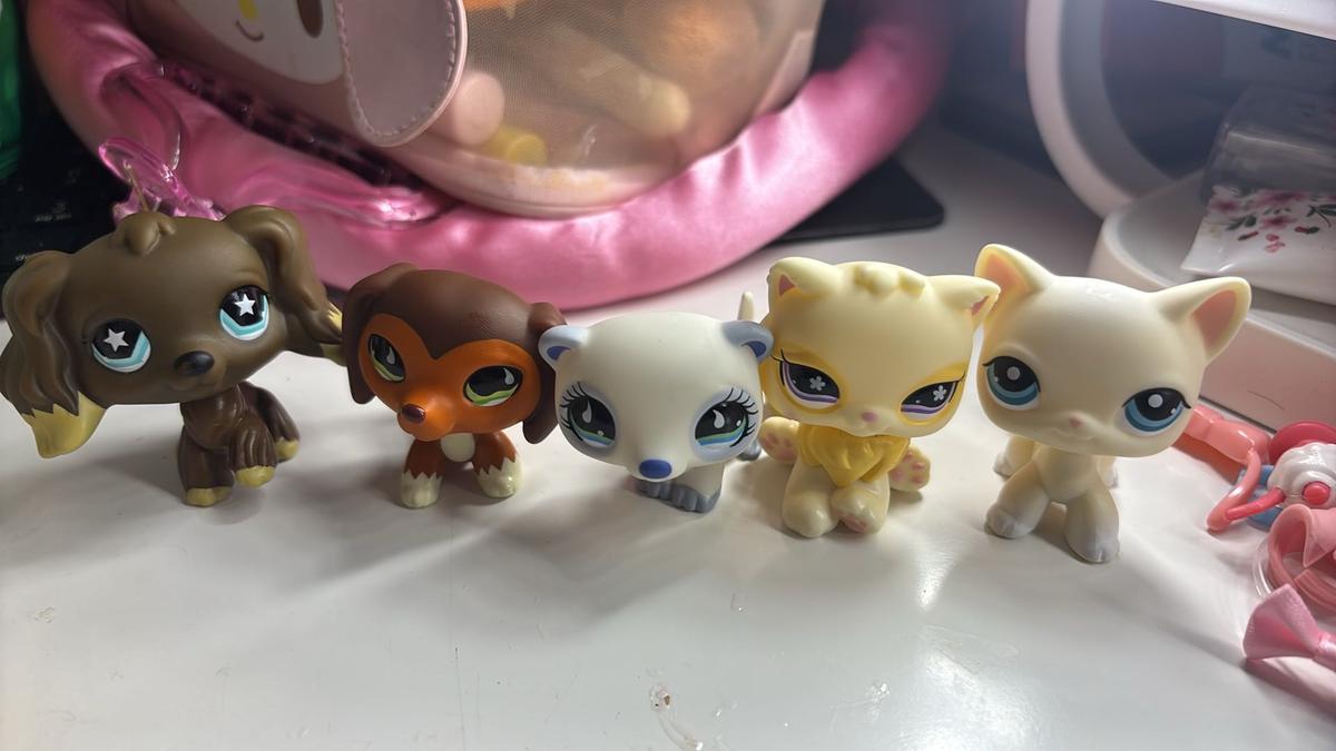 5 pc random miniature cat and dog figures and random 7 pc accessories ...