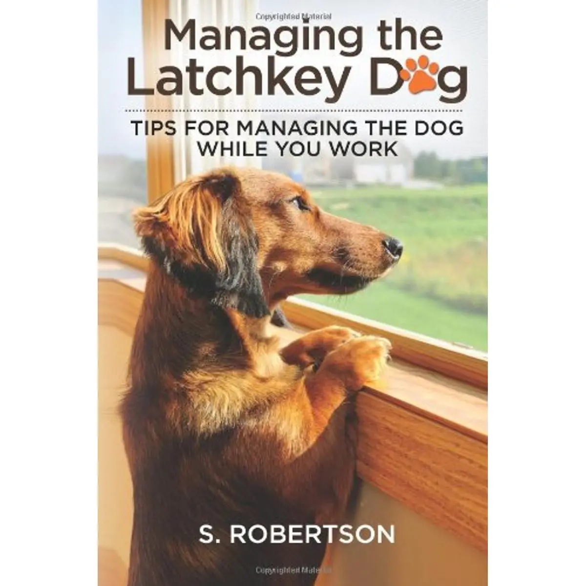 Managing the Latchkey Dog: Tips for managing the dog while you work ...