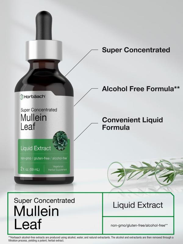 Horbäach Mullein Leaf Extract Drops | 2 fl oz | Alcohol Free Liquid ...
