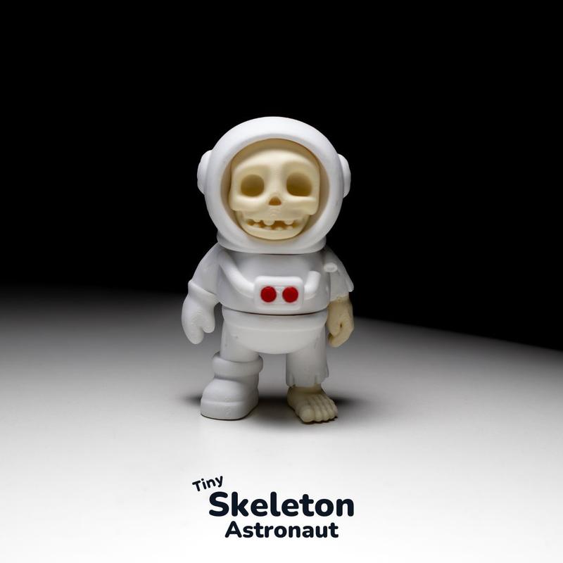 Tiny Skeleton, Astronaut, Skeleton Bunny - TikTok Shop
