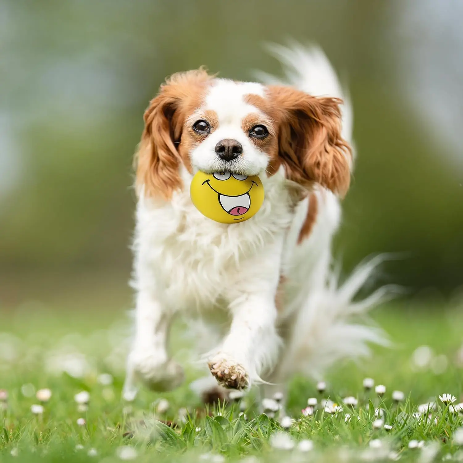 4 Pack 2.8" Smiley Face Squeaky Dog Toys Soft Dog Balls Latex Rubber ...