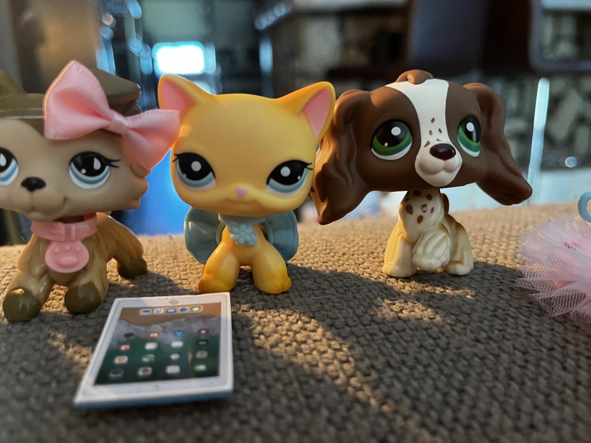 5 pc random miniature cat and dog figures and random 7 pc accessories ...