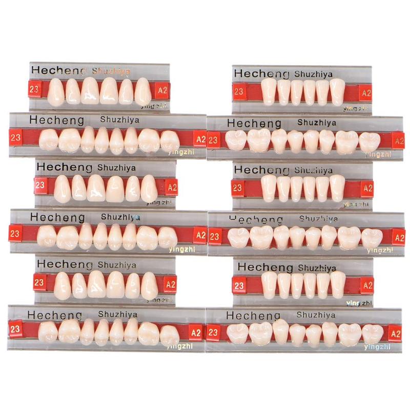 84 Pcs Acrylic Resin Denture Teeth Set - A2 Color - TikTok Shop