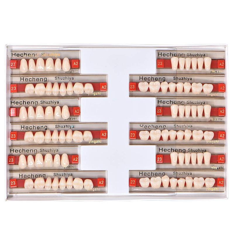 84 Pcs Acrylic Resin Denture Teeth Set - A2 Color - TikTok Shop