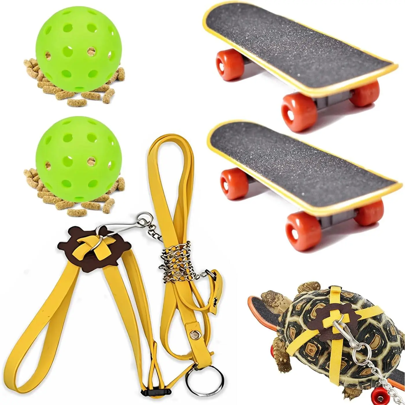 Turtles Playing and Training Toys Set, 1 Adjustable Tortoise Leash 2 ...