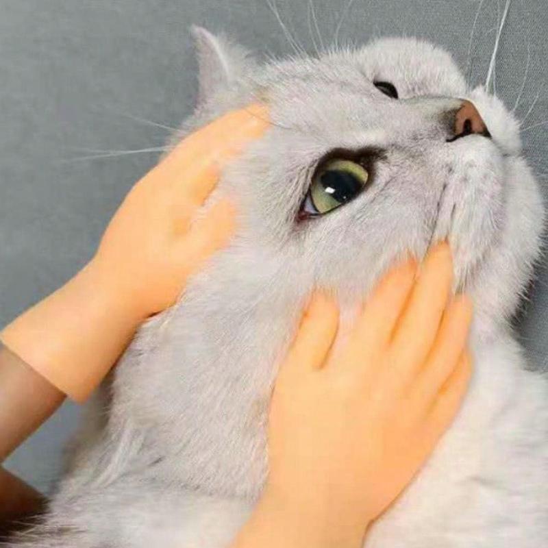 2pcs/1set Miniature Realistic Rubber Hand Finger Toys, Funny Finger ...