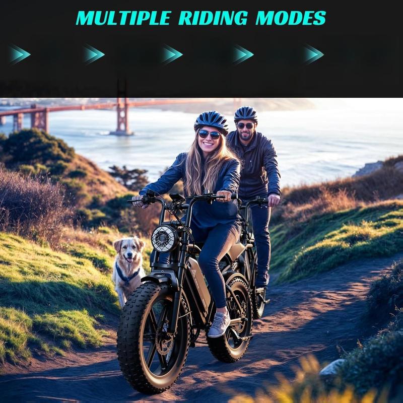 TST Electric Bike for Adults 1500W Peak Power 20" Fat Tire All-Terrain ...