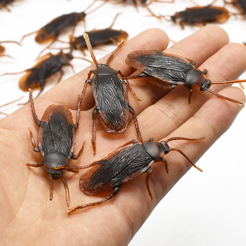 Ultra-Realistic Fake Cockroaches (15-Pack) - Lifelike Prank Toys for ...