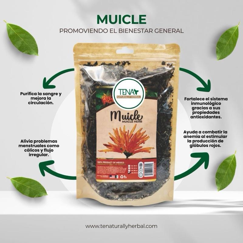 Muicle Herb Premium 4 oz Herbal Tea Bag – Supports Circulation ...