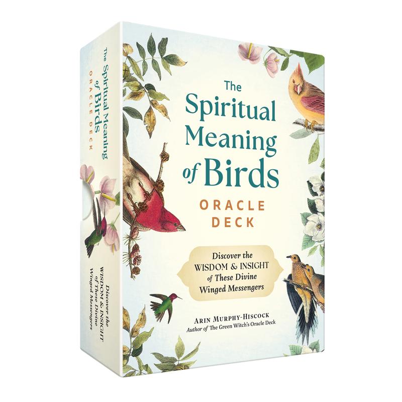 The Spiritual Meaning of Birds Oracle Deck - TikTok Shop