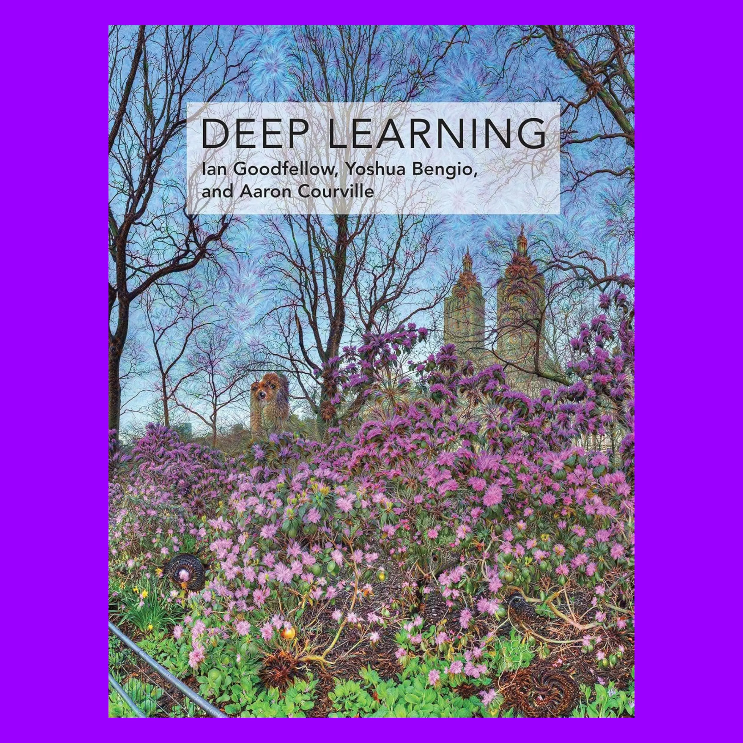 Deep Learning (Adaptive Computation and Machine Learning Series ...
