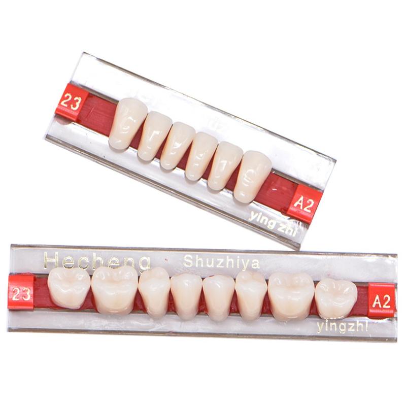 84 Pcs Acrylic Resin Denture Teeth Set - A2 Color - TikTok Shop
