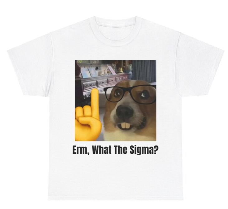 Erm What The Sigma Nerd Dog TShirt, Funny Meme, Joke Shirts, Cringe ...