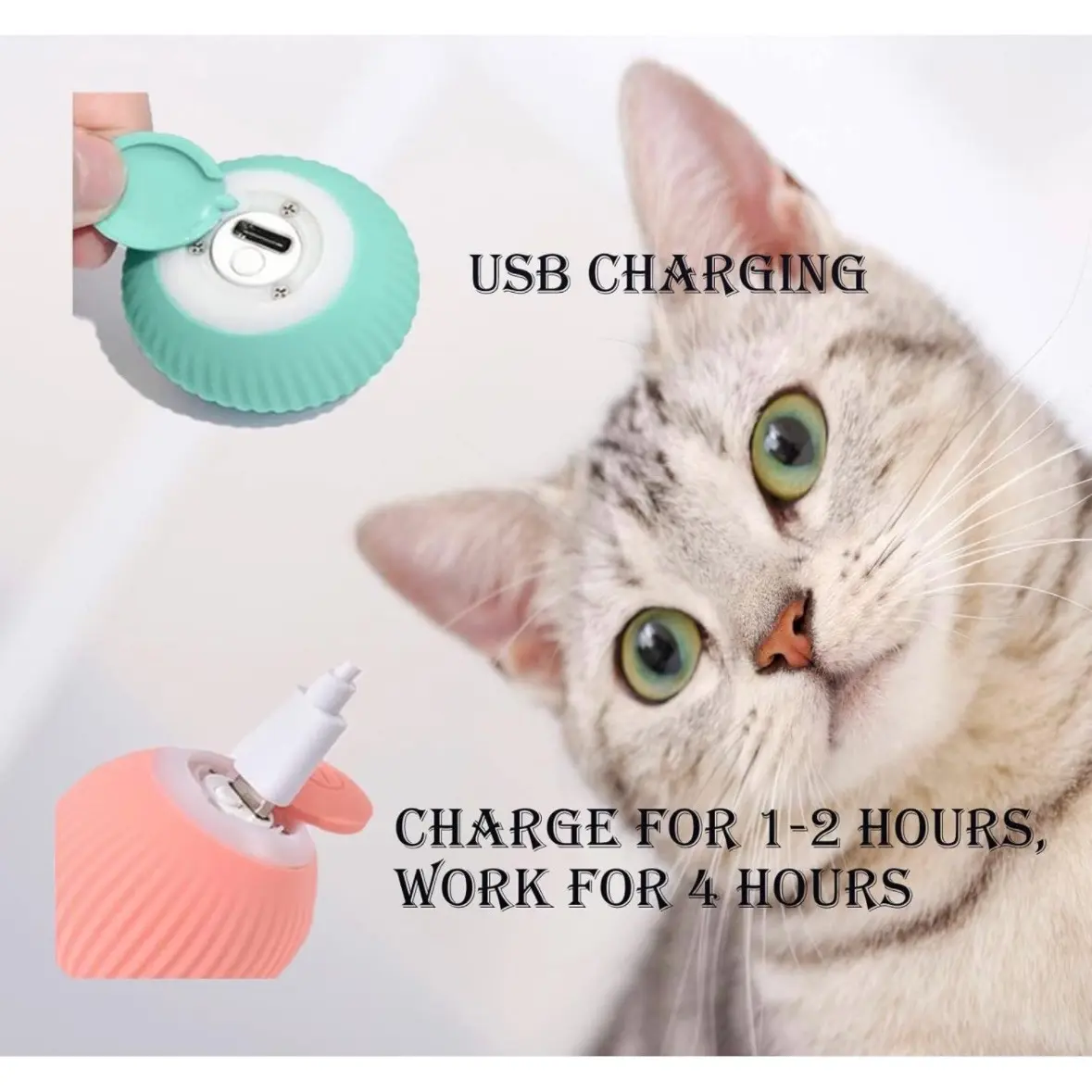 Cat Smart Ball - TikTok Shop