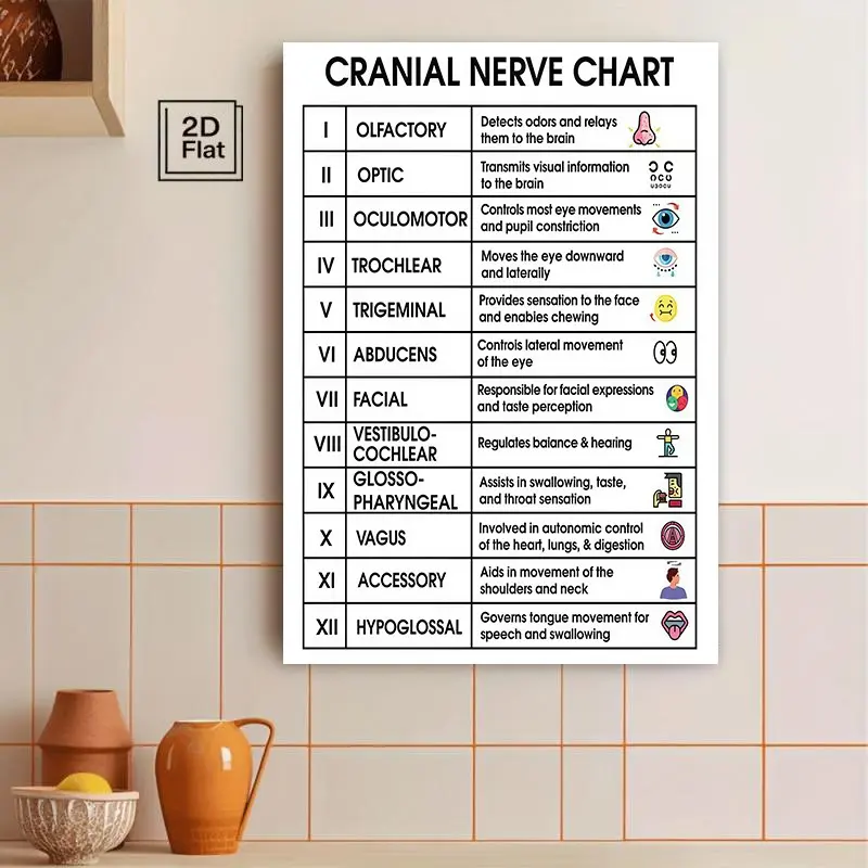 Medical Neurology Quick Reference Guide Poster, Visual Learning Tools ...